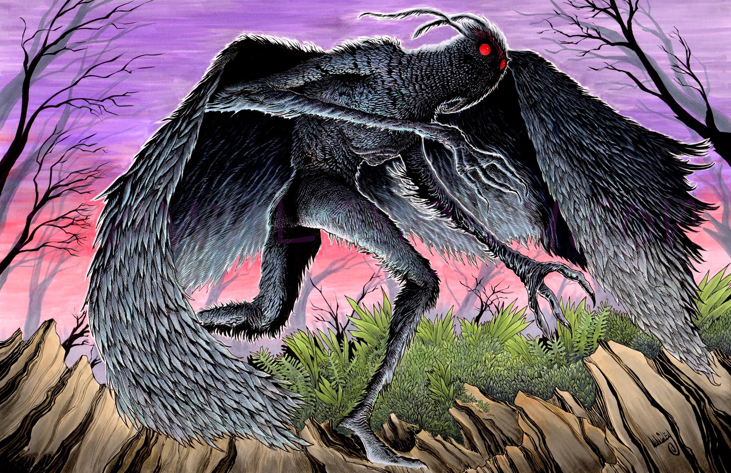 Cryptid Collection! – Langley Illustration